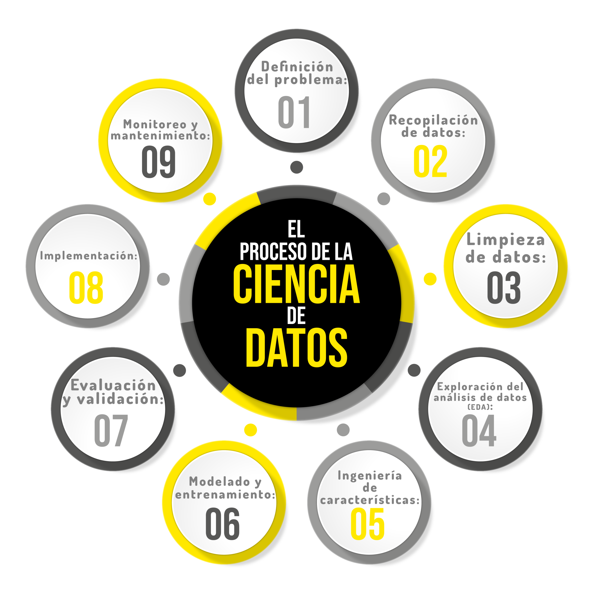 ¿Qué es la Ciencia de Datos? | Xaldigital