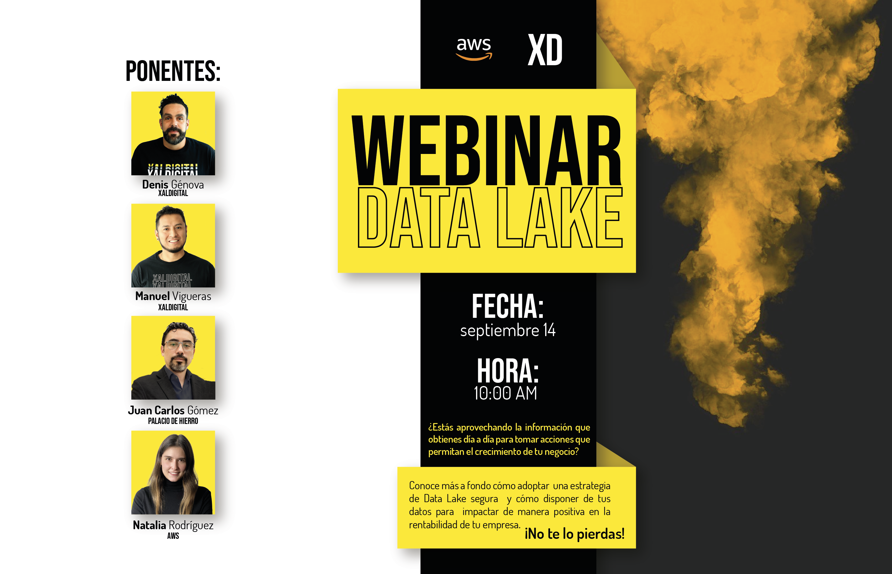 Webinar: Data Lake | Xaldigital